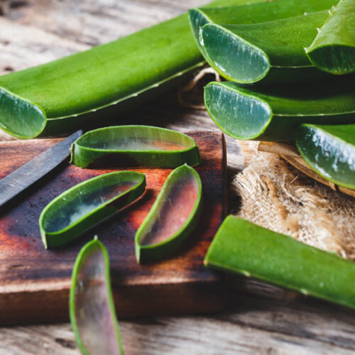 Fresh Aloe Vera Plant - ThailandAtHome